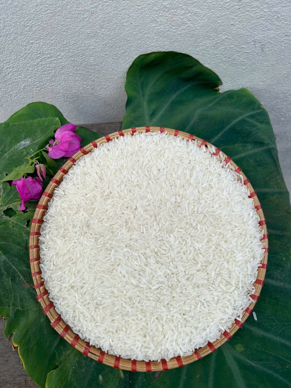 Gạo ST25 – Vua Gạo Ngon Nhất Thế Giới, Hương Vị Tuyệt Vời